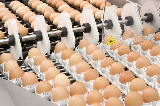 Prinzen - Vencomatic Group